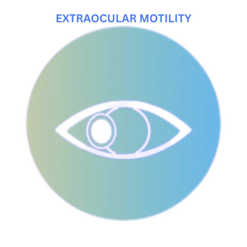 Olleyes VisuALL-H | At-Home Visual Field Assessment | Xala Health